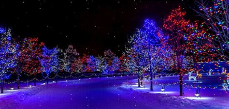 Html雪花效果雪花html代码 Csdn博客