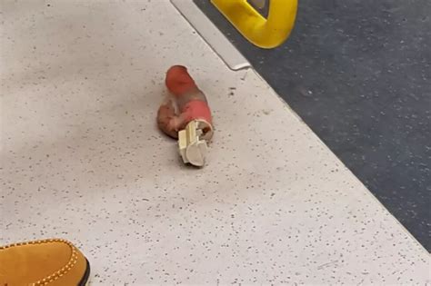 Metrolinks Brilliant Response After Passenger Finds Sex Toy On Tram