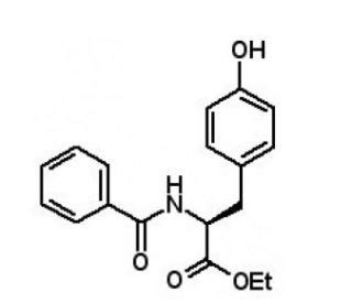 N Benzoyl L Tyrosine Ethyl Ester CAS SCBT Santa Cruz Biotechnology