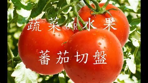 阿芳真愛煮 蔡季芳 蕃茄切盤 YouTube