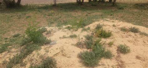 Wonderfontein Grafte Is Nie Verwyder Nie Vaalweekblad