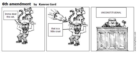 6th Amendment Quotes Quotesgram