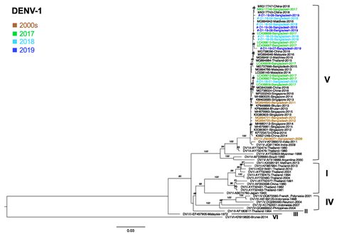 Genetic Analysis Of Dengue Virus In Severe And Non Severe Cases In