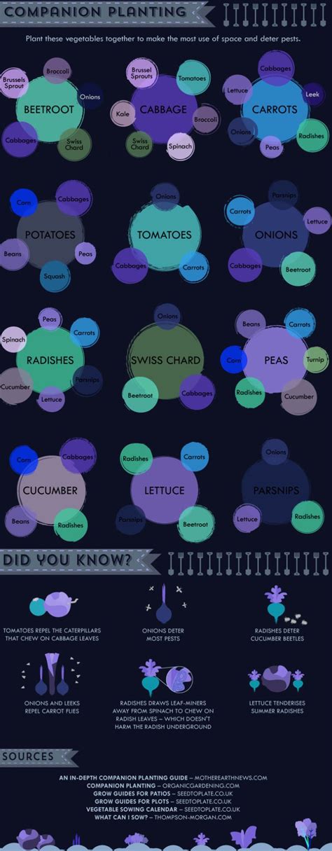 A Vegetable Growing Cheat Sheet Growing Vegetables Vegetable Growing