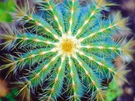 Ejemplos De Binomios Con Término Común Definición Y Ejemplos En