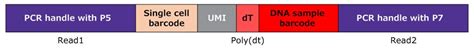 Multi Seq Sample Multiplexing For Single Cell Analysis And Sequencing