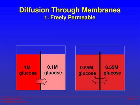 Ppt Membrane Function Structure And Transport Powerpoint Presentation Id4406178