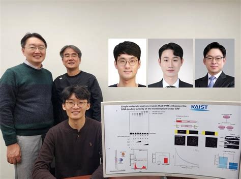 Kaist Reveals Key Principles Of Gene Expression Regulation In Cancer