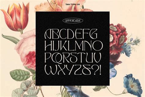 Modern Display Typeface Behance
