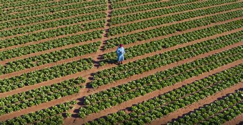 Monitoring Evaluation And Learning Mel For National Adaptation Plan Nap Processes Sdg