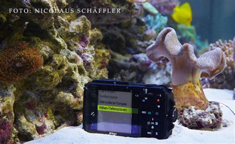 Kameras für Outdoor und Wasser - Tauchmagazin.com | Tauchen, Reisen & Meer.