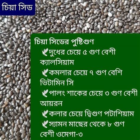 চিয়া সিড