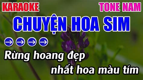 Chuyện Hoa Sim Karaoke Tone Nam Karaoke Beat Mới YouTube