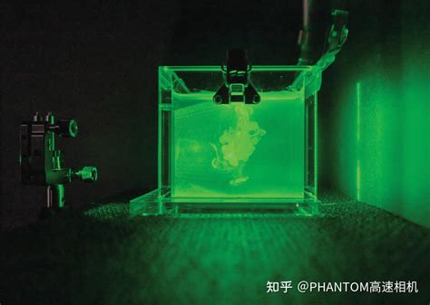 粒子图像测速（piv）和高速成像对凝胶状海洋生物进行研究 知乎