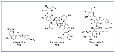 Molecules Free Full Text Efforts In Bioprospecting Research A