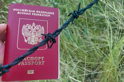 마른 노란 잔디를 배경으로 한 남자의 손에 녹슨 오래된 철조망 뒤에 러시아 연방의 빨간 여권 국경 폐쇄 제한 구역 세계와의 고립 개념 0명에 대한 스톡 사진 및 기타 이미지