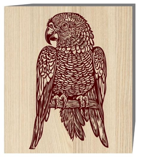Parrot E0019792 File Cdr And Dxf Free Vector Download For Laser