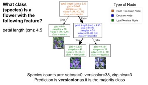 以鸢尾花数据集为例,用python对决策树进行分类 知乎 以鸢尾花数据集为例,用python对决策树进行分类 知乎