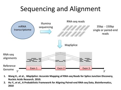 Rna Isolation For Rna Seq At Edith Vreeland Blog