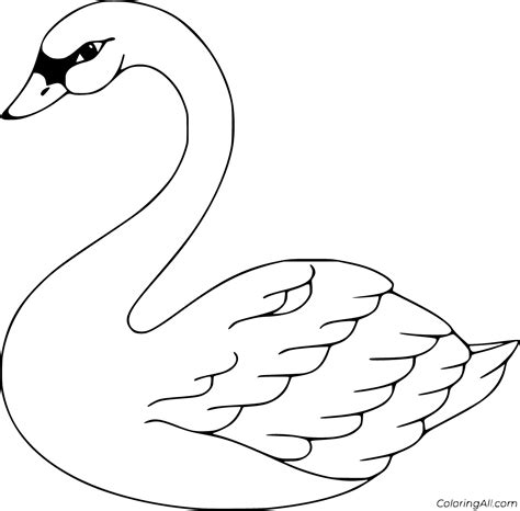 Swan Coloring Pages Free Printable Coloring Pages