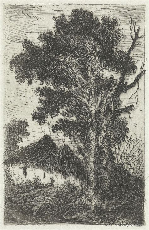 Big Tree Drawing At PaintingValley Com Explore Collection Of Big Tree Drawing