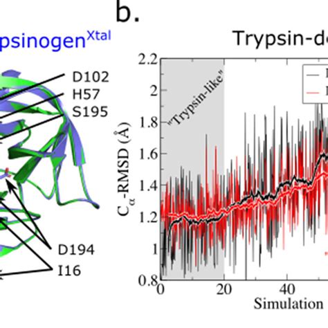 A Structural Comparison Of The Trypsin And Trypsinogen Crystal
