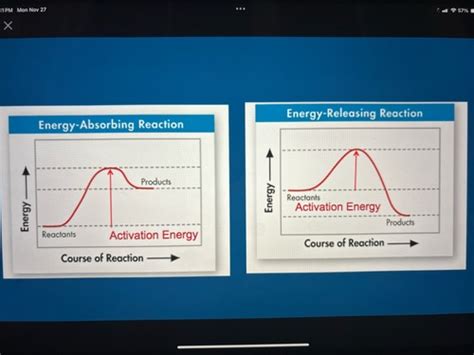 Bio Finals Flashcards Quizlet