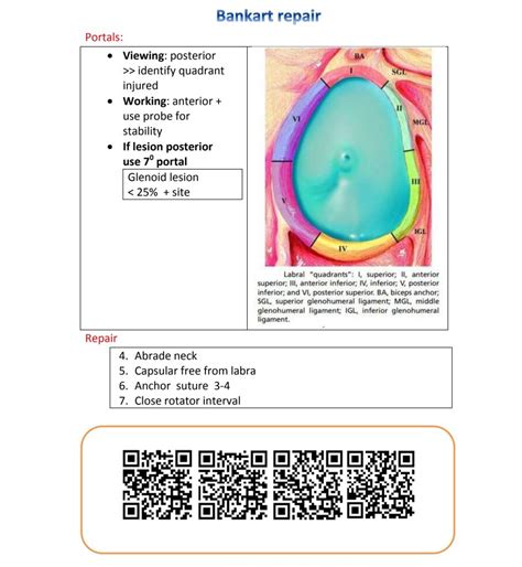 Dislocation Pathology Shoulder Manual For Basic Arthroscopy