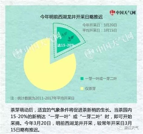 今年明前西湖龍井緣何品質A 每日頭條