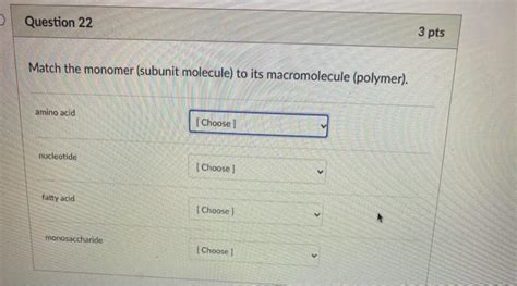 Solved Question 22 3 Pts Match The Monomer Subunit