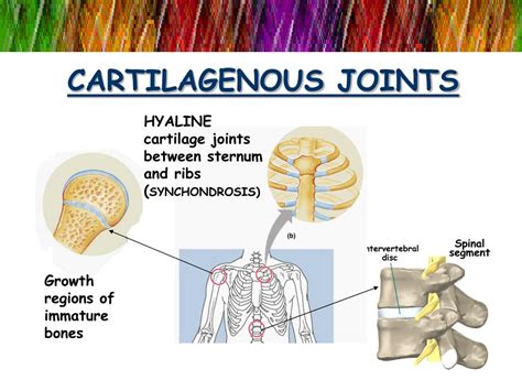 Ppt Joints Powerpoint Presentation Free Download Id2418076