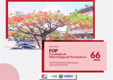 Faculdade De Odontologia De Pernambuco Completa 66 Anos De Fundação
