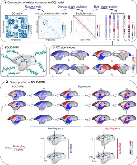 Schematic Method Overview A Workflow For Constructing The Mesoscale