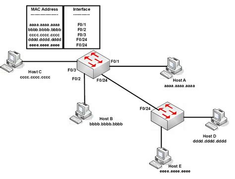 csma cd 交换和虚拟局域网 vlan ccna60d chinese 中文版 ccna 60 days
