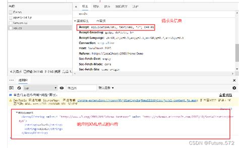 Webapi简介 Csdn博客