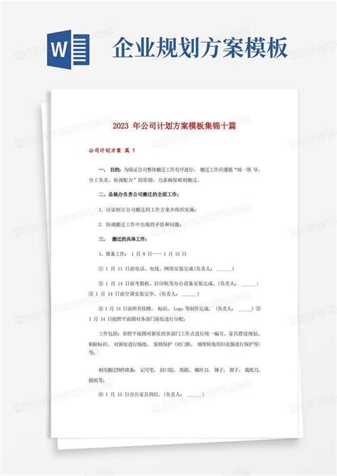 2023年公司计划方案集锦十篇word模板下载编号qdjnvwjq熊猫办公