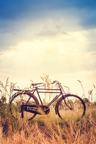 해질녘 여름 잔디 필드와 풍경 사진 빈티지 자전거 빈티지 필터 Styleclassic 자전거 인사말 카드 엽서에 대 한 오래 된 자전거 스타일 거리에 대한 스톡 사진 및