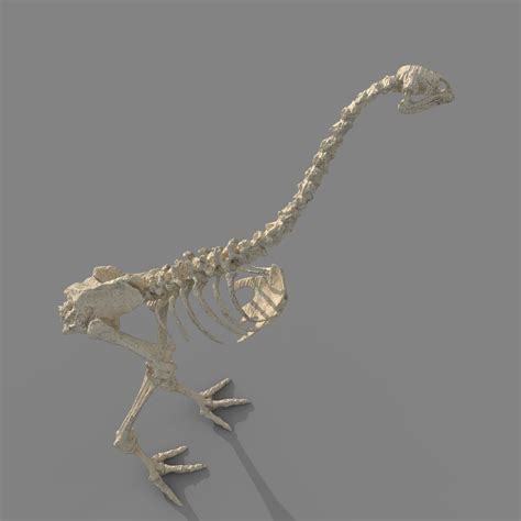 3d Dinosaur Fossil Model Turbosquid 2246225