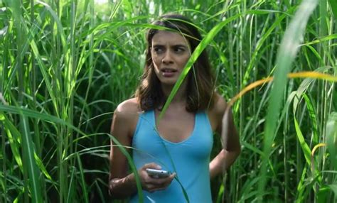 In The Tall Grass Review A Weak Stephen King Adaptation