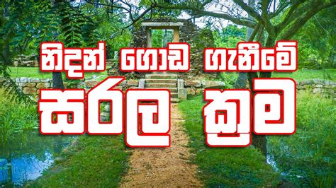 නිදන් ගැනීමේ සරල ක්‍රම Youtube
