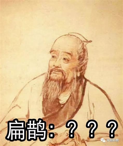 探索发现 幸运神医扁鹊的著作竟然躲过了盗墓贼的魔爪