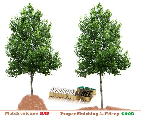 Mulch Volcanos Make Us Want To Erupt Arbormax Tree Service