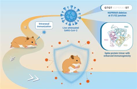 科学网— 转载 王祥喜：病毒结构、抗体谱系和疫苗设计 Innovation Webinar 刘朝峰的博文