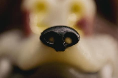 Rubrehose Big Bad Coyote Wile E Coyote R Keycaps