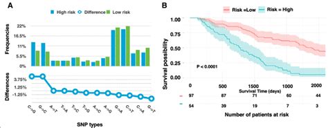 The Mutation Of Different Snp Types A The Frequencies Of Different Snp Download Scientific