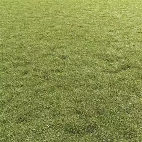 Flat Grass 2 3d Model Cgtrader