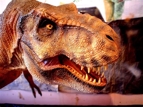 T Rex Head By Galileon On Deviantart