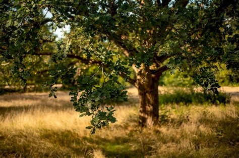 Top Interview Questions And Answers For Big Data Technologies Eg Hadoop Spark