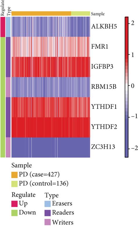 The Gene Expression Of M6A Related Cross Talk Gene A The