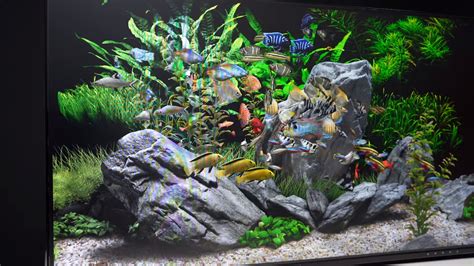 1600x900 Vs 1920x1080 Which Is Better Techpicko